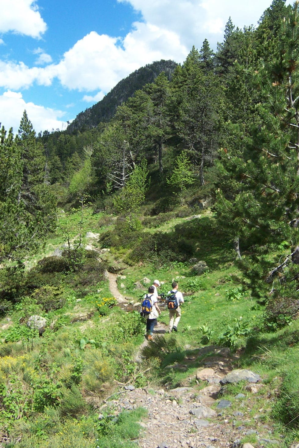 Les parcours pédestres - Les Angles